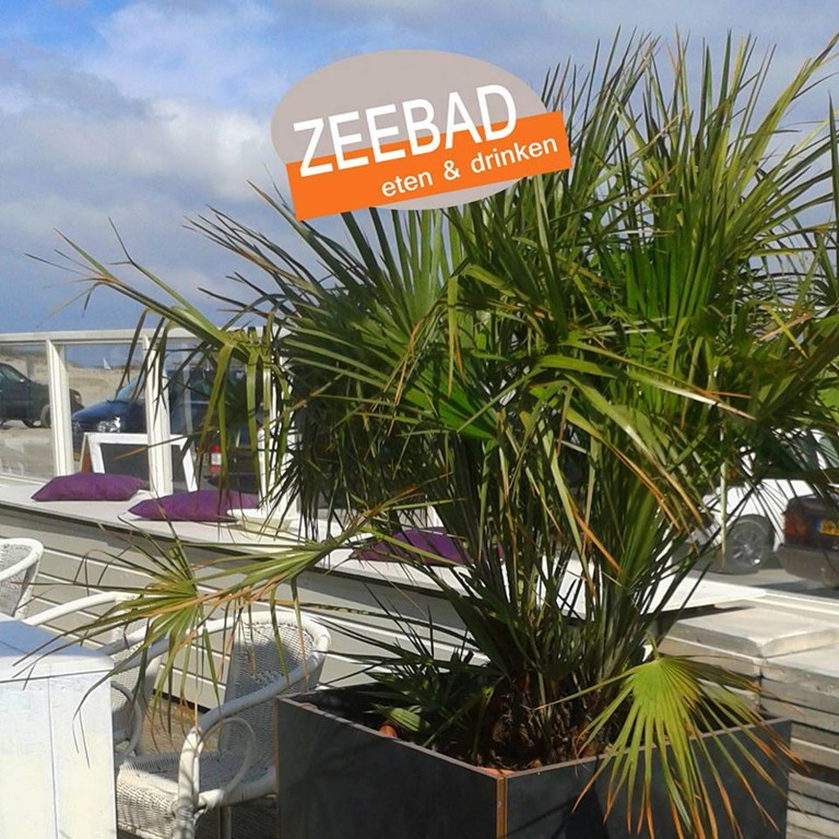 Strandpaviljoen Zeebad - Uitagenda Rotterdam