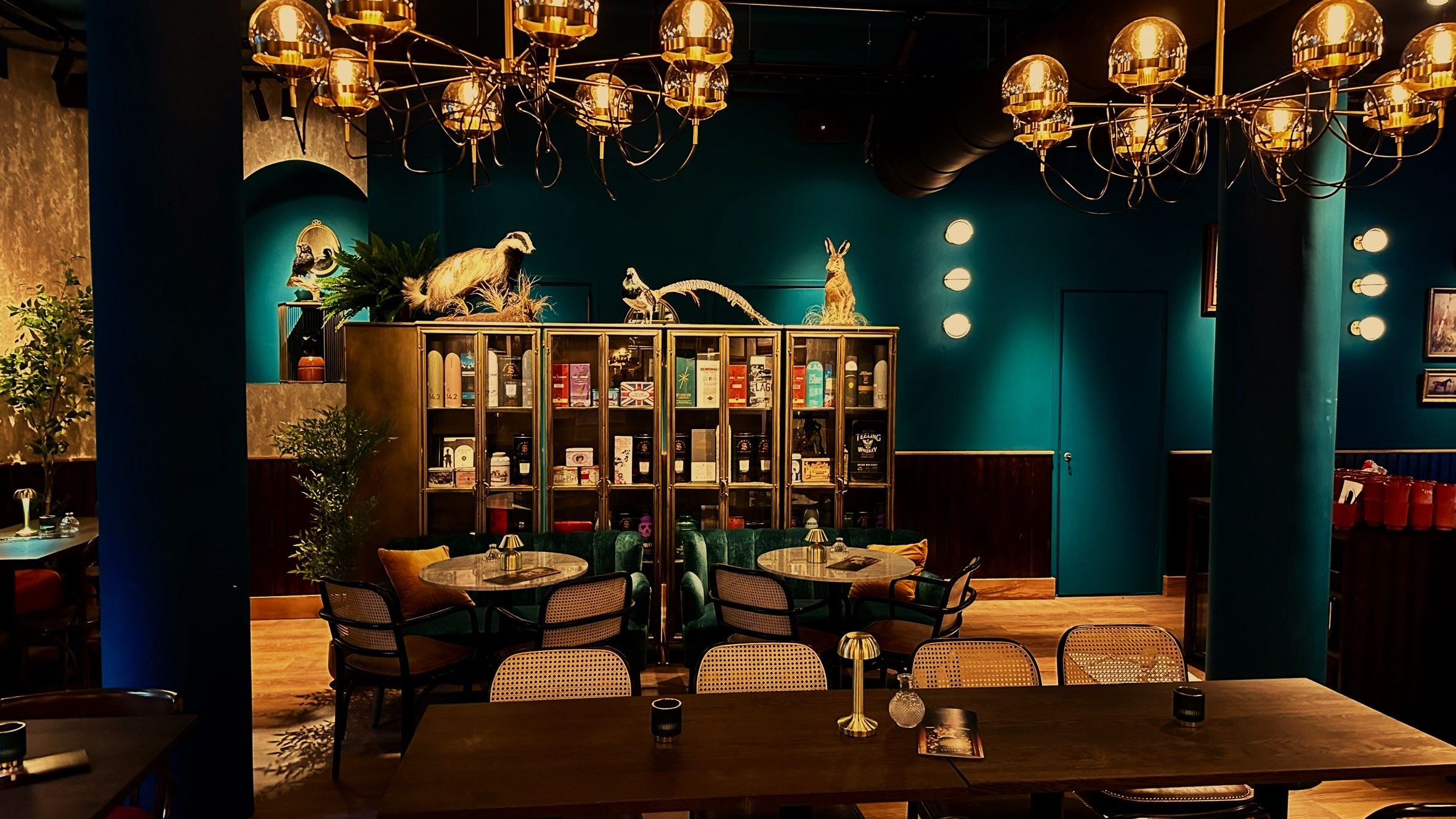 The Fat Fox - Uitagenda Rotterdam