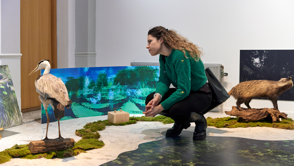 Zo zien dieren hun omgeving - Uitagenda Rotterdam