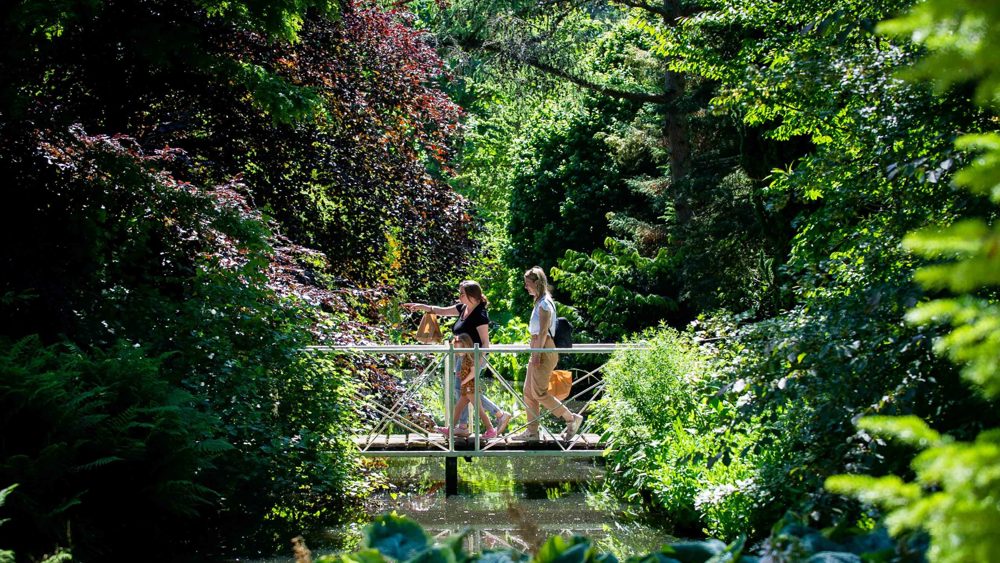 Groen in Rotterdam - Ontdek de natuur in de stad