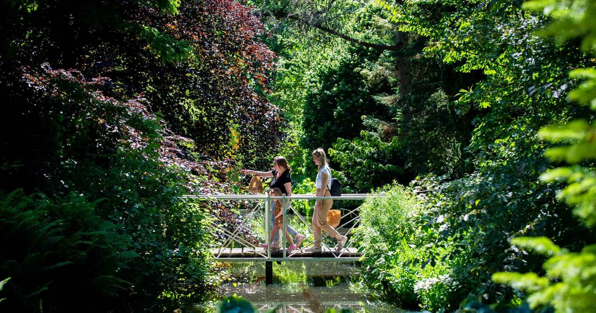 Groen in Rotterdam - Uitagenda Rotterdam