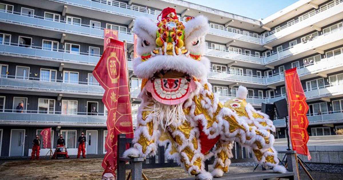 Rotterdam Chinese New Year: deze leuke activiteiten staan op het ...