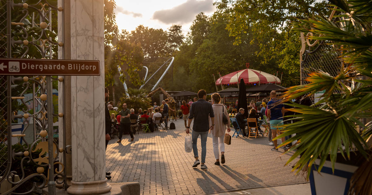 Diergaarde Blijdorp met extra activiteiten tijdens Open ...