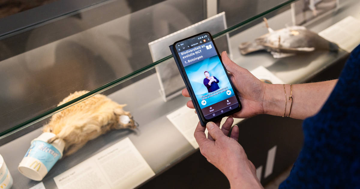 Week van de Toegankelijkheid 2025 voor een inclusief Rotterdam ...