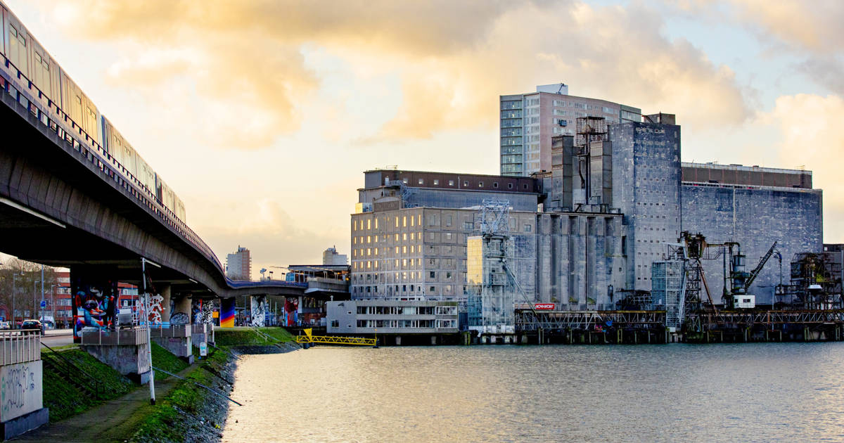 Faive Running en Rotterdam Running Crew organiseren halve marathon op ...