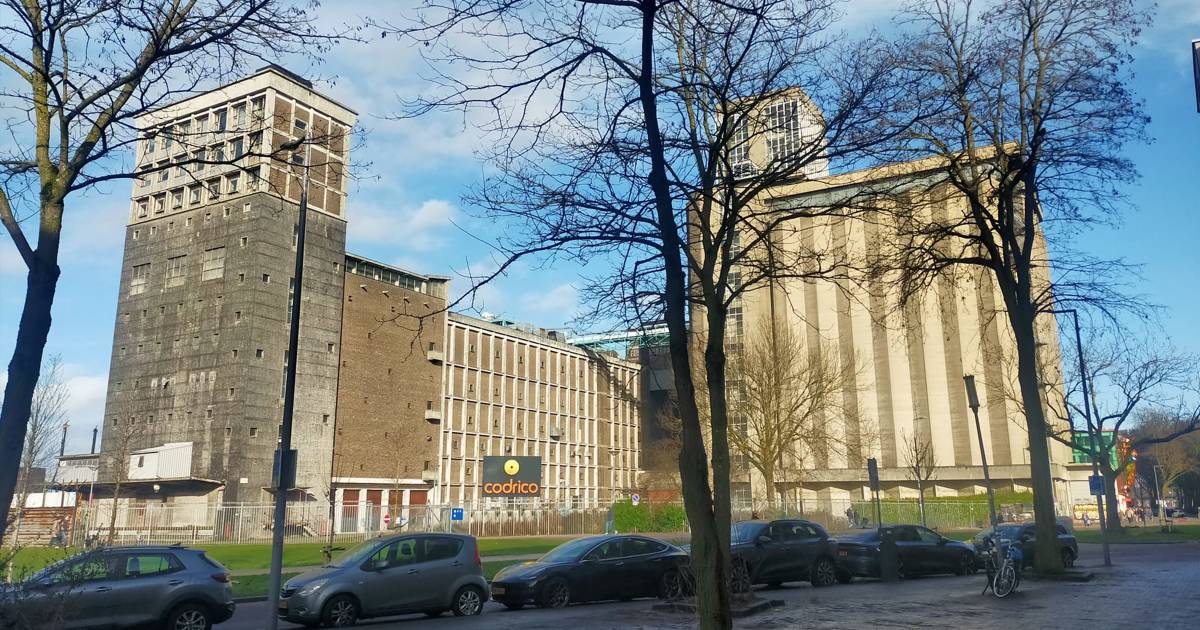180 exposanten bij Expo Codrico - Uitagenda Rotterdam