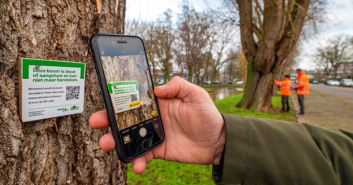 Leerzaam en leuk: achterhaal door middel van QR-codes waarom een boom ...