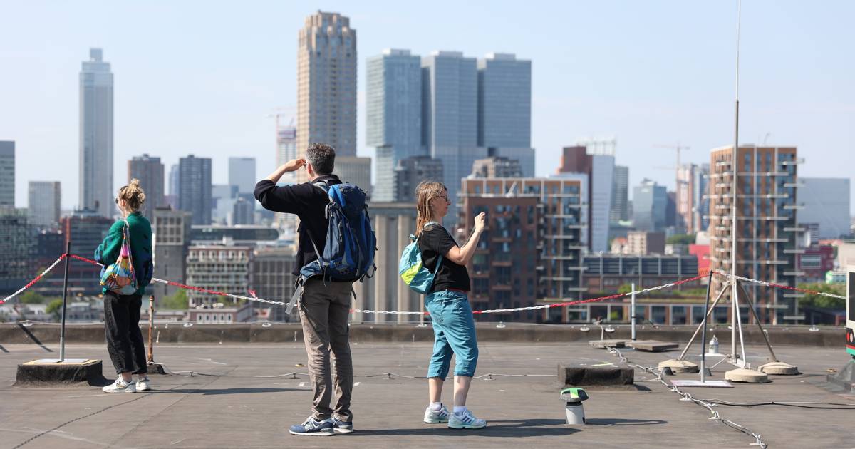 Maar liefst 56 daken te bezoeken tijdens de Rotterdamse Dakendagen ...