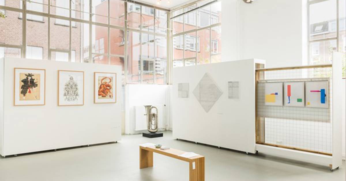5x kunstgaleries in Rotterdam die je kunt bezoeken - Uitagenda Rotterdam